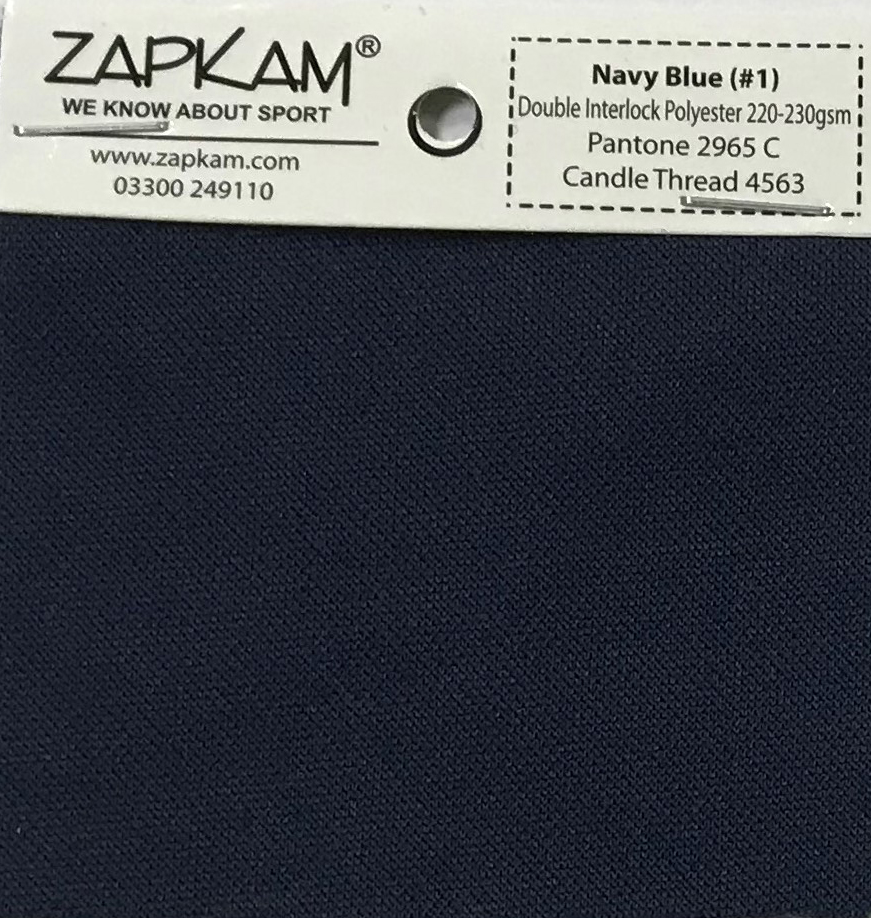 Pantone Navy Blue Swatch